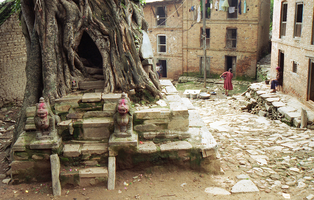 Temple tree – καιρός remembered