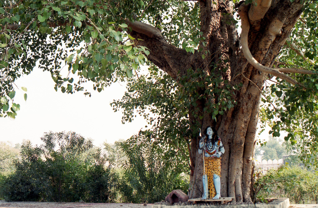 Shiva taking a break – καιρός remembered